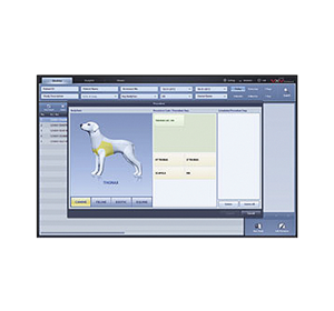 VXV Console - Software - Rayence